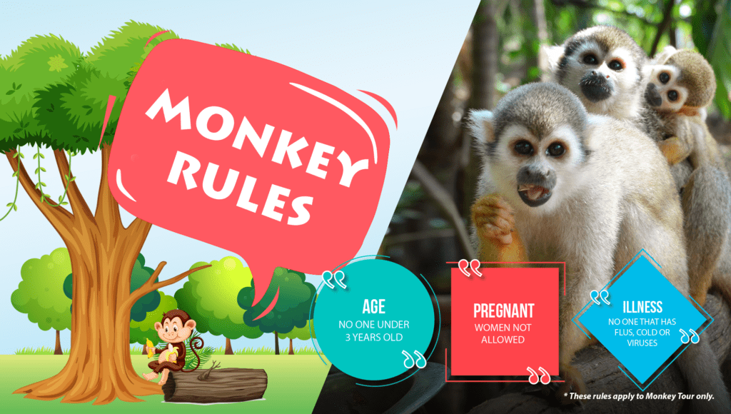 Monkey Jungle Experience – Monkey Jungle